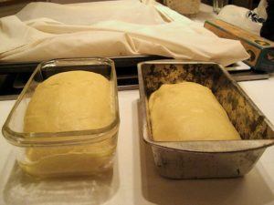 How To Make Your Own Bread Proofing Box: In 8 Simple Steps